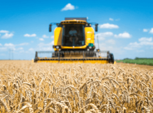 Training & Development – GTA