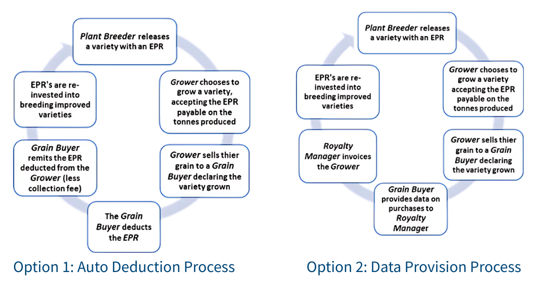 Support Breeding Innovation by Complying with EPR Requirements - Grain ...